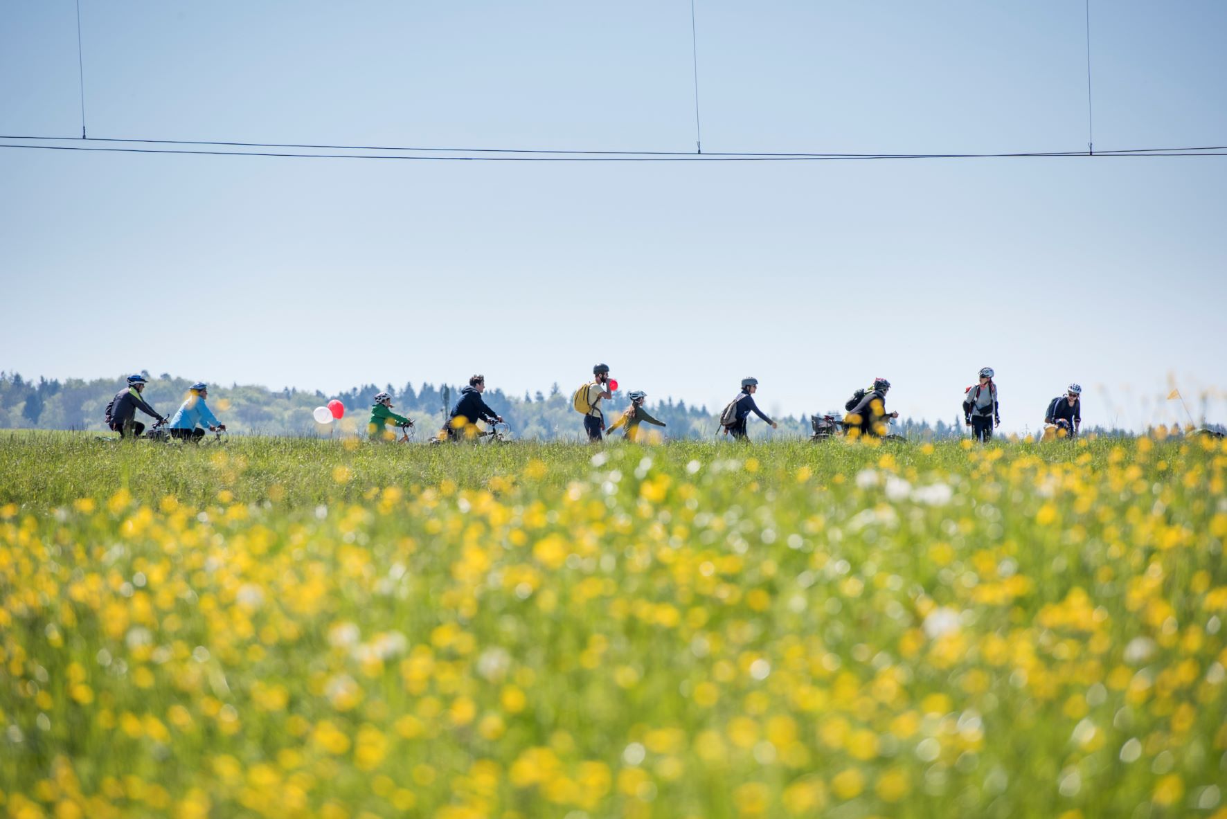 Murten und Umgebung - murten.unsereregion.ch